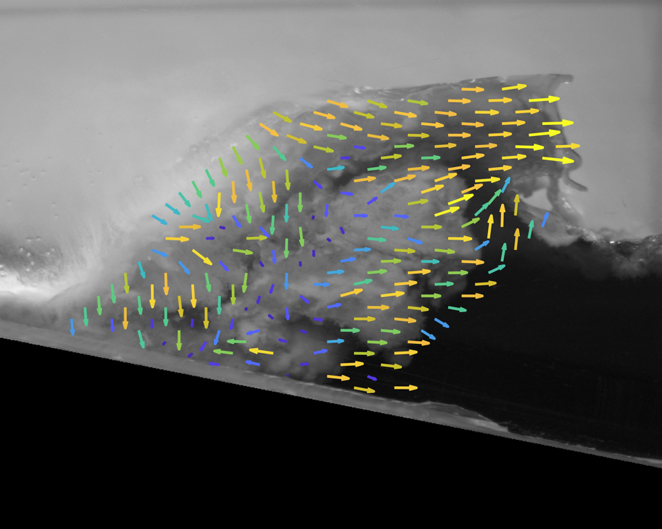 CoSV webinar series: Volcanoes can make waves too: Tsunamis generated ...